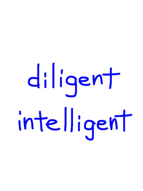 diligent / intelligent – nitatango.com