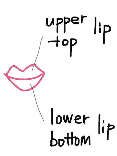 lip / rip – nitatango.com