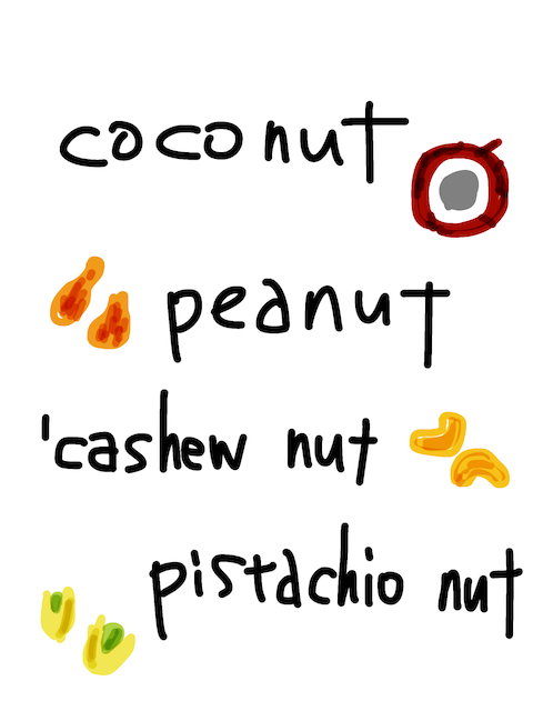 walnut / chestnut – nitatango.com