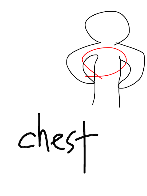 walnut / chestnut – nitatango.com